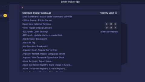 Cómo cambiar el idioma de Visual Studio Code